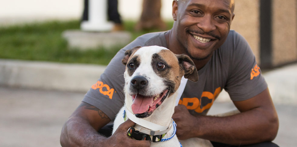 Planned Giving | Will | Trust | ASPCA Legacy Society